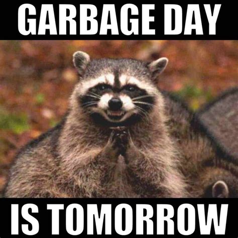 Trash Memes You Cant Recycle 20 That Will Crack You Up