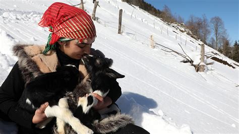 Türkiyenin Heidisi Hamdu Sena Sözcü