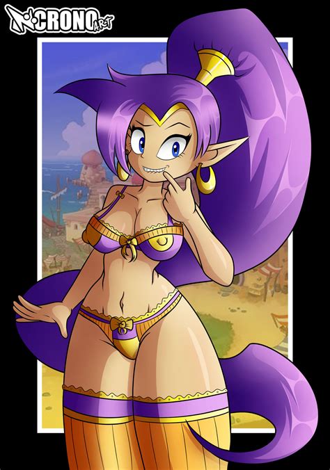 Shantae Lingerie Fan Art By Chrono The Hedgehog On Deviantart