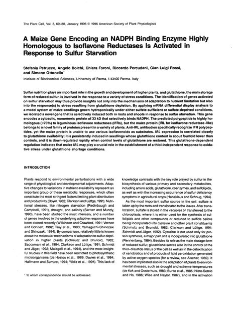 Pdf A Maize Gene Encoding An Nadph Binding Enzyme Highly Homologous To Isoflavone Reductases