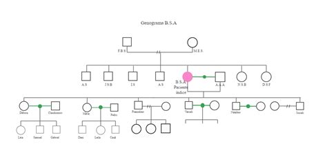 Emotional Relationship Genogram Edrawmax Templates