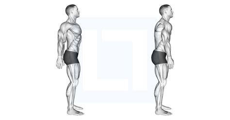 Retraction Medical Definition At Dawn Boykins Blog