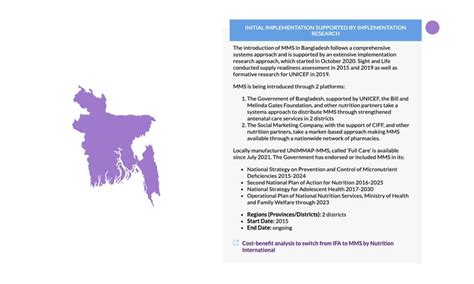 Micronutrient Supplementation Pregnant Mms Hmhb Micronutrient Forum