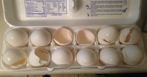 Eliminate Egg Smell Effectively And Easily