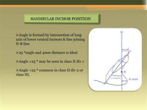 Steiners Analysis Cephalometrics Pptx