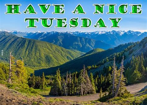 Have A Nice Tuesday Quotes With Beautiful Nature Background