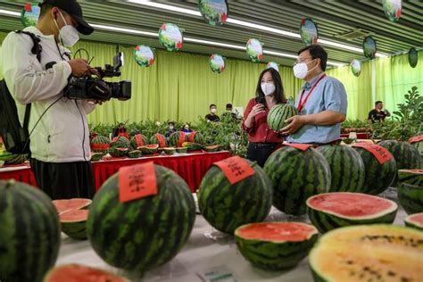 Top 10 Traditional Food Festivals In China