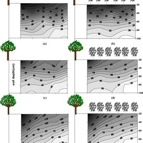 Spatial Distribution Of Root Length Density Rld Cm 125 Cm⁻³ Of Sole Download Scientific