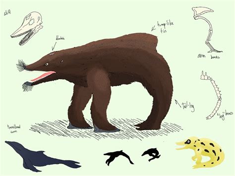 Land Dolphin Concept Rspeculativeevolution