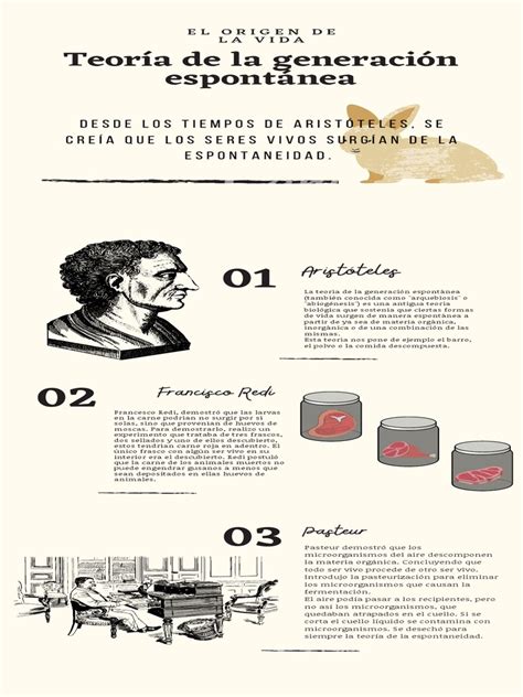 Teoría De La Generación Espontánea Pdf Naturaleza Biología