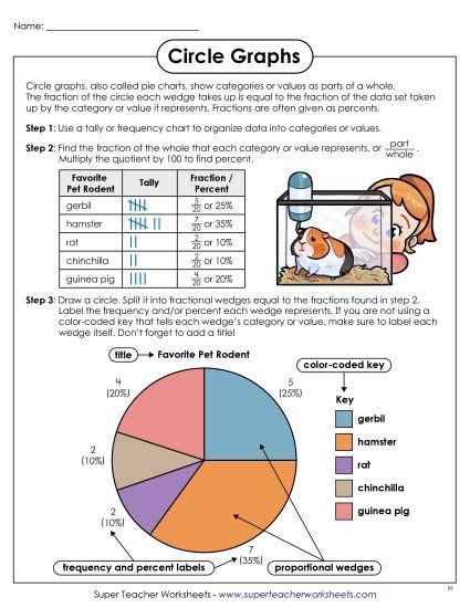 Circle Graph Worksheets Grade 6