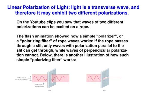 Ppt Linear Polarization Of Light Light Is A Transverse Wave And