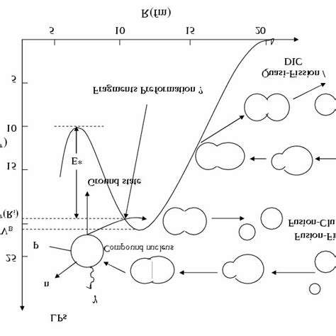 5 Schematic Diagram For Dynamics Of The Colliding Nuclei Playing