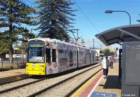Trams Coach And Bus Photos And Videos Trainairtram