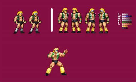 Draw Custom Pixel Art D Animation Game Art Game Asset In Sprite Sheet By Sammy Design Fiverr