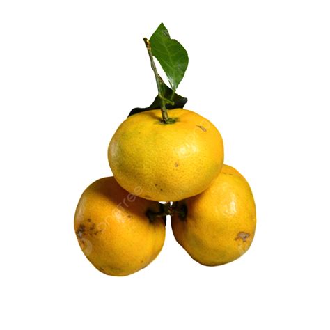 Três Mini Laranjinhas Super Doces Png Três Mini Super Doce Png