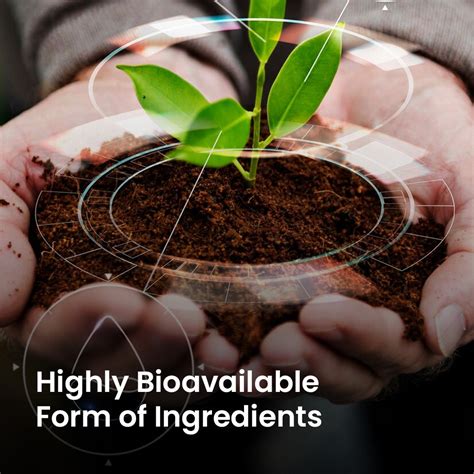 Fibroids Supplement Bundle Miduty