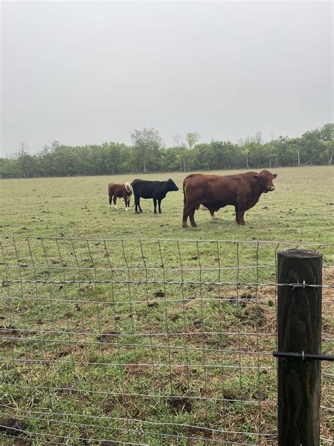 Big Red Album On Imgur Big Red Album On Imgur