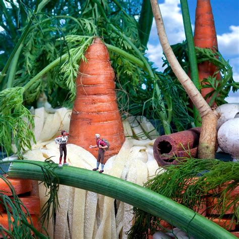 William Kass And His Fantasy Food World With Tiny People Moments Journal