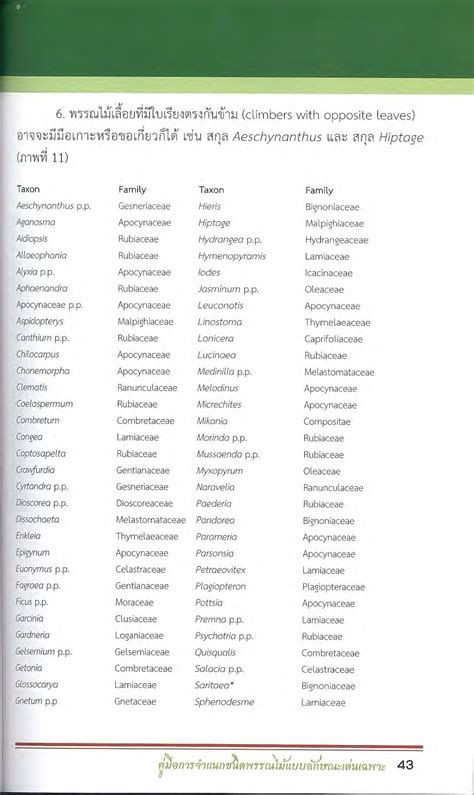 Plantidentificationhandbook E Book Library กศนตําบลแพรกษา Page