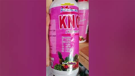 Pupuk Cair Kno3 Kalium Nitrat Pupuk Pupukcair Kno3 Kaliumnitrat