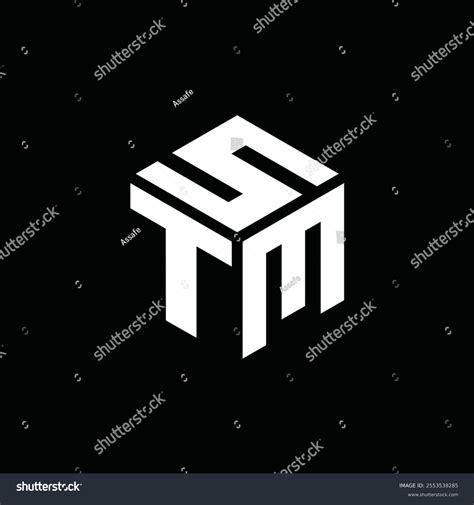 Tsm Leter Logo Cube Logo Vector Stock Vector Royalty Free 2553538285