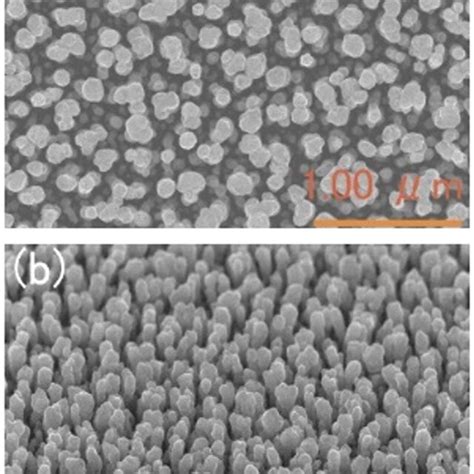 Sem Image For Ns Tin Acquired C From Directly Above And D At A 40° Download Scientific
