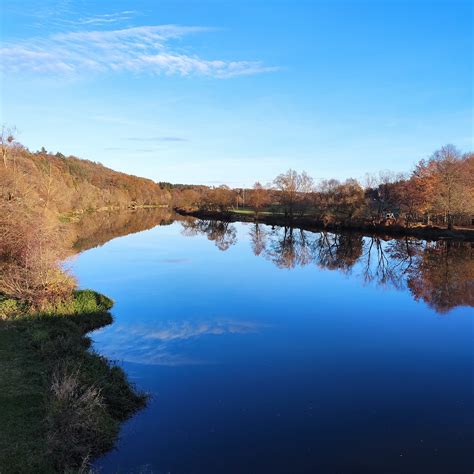 Nature Flow Bavarian Forest Free Photo On Pixabay Pixabay
