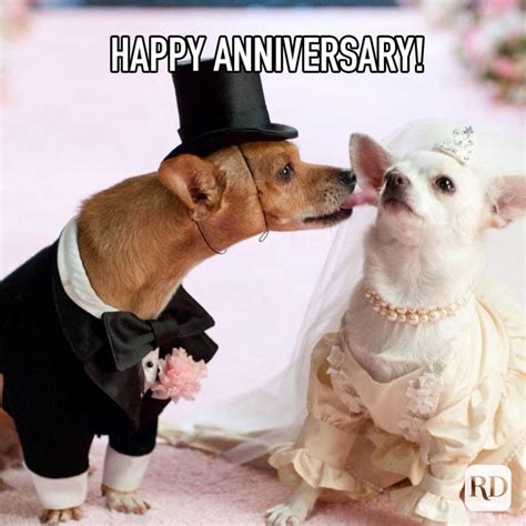 Funny Happy Anniversary Memes Funny Memes And S To Wish Someone A