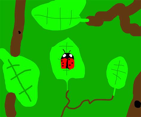 Ladybug Drawception