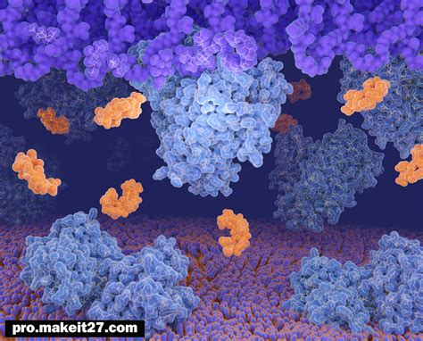 Vre 의학용어 Cmp 의학용어 Tee 의학용어 Pro27