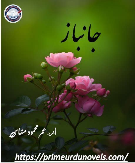 Janbaz By Umer Mehmood Minhas Complete Ezreaderschoice