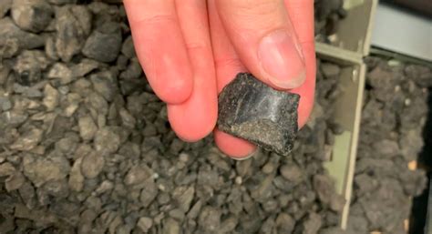 Hvem Lagde Denne Lort For 250 Millioner år Siden