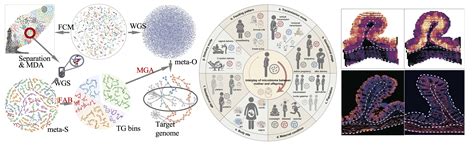 zhao s lab