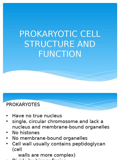 Prokaryotic Cell Structure And Function Pdf Prokaryote Cell Biology