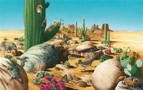 Desert Life Tak12 Tự Học Thêm And Ôn Thi Theo Cách Tối ưu