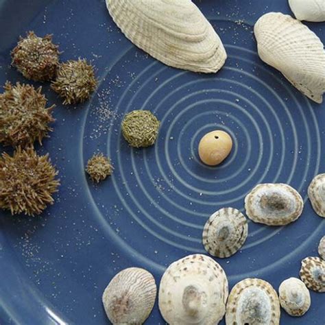 Sarah Risley Research Assistant Phd Candidate University Of Maine Maine Um School Of