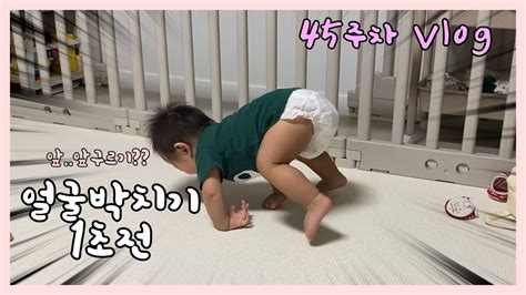육아로그 수아의 성장일기ㅣ10개월아기👶의 일상 첫 걸음마🚶‍♀️사고뭉치⚒️ 미소천사 김수아😊 마일스톤 언어부족 육퇴 야채곱창 먹방ㅣ Youtube
