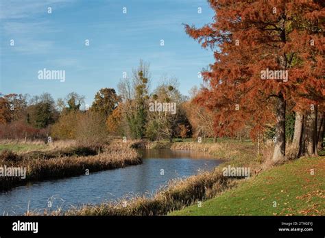 Autumn Trees In Colour Stock Photo Alamy