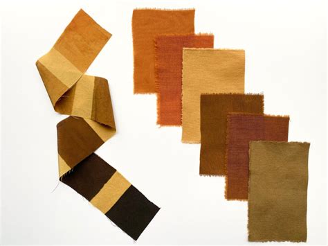 Dyers Coreopsis Dye Samples 4 Crafthub European Project