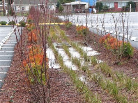 Biosolids Contain All 16 Plant Essential Nutrients Nw Biosolids