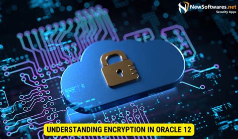 How To Encrypt Column Data In Oracle Newsoftwares Net Blog