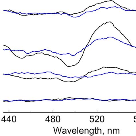 Typical Double Difference Spectra Obtained By Subtraction The Download Scientific Diagram