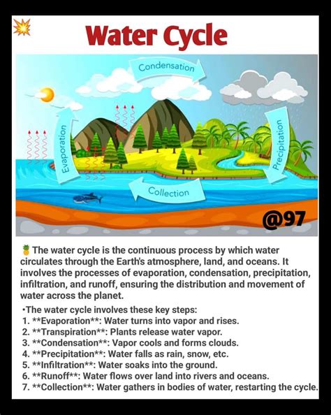 Stem Apalooza 𝗧𝗵𝗲 𝗪𝗮𝘁𝗲𝗿 𝗖𝘆𝗰𝗹𝗲 𝗔 𝗖𝗼𝗻𝘁𝗶𝗻𝘂𝗼𝘂𝘀 𝗣𝗿𝗼𝗰𝗲𝘀𝘀 Our Planets Water Cycle Shows The