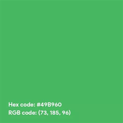 Poison Green Color Hex Code Is 49b960