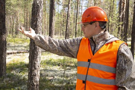 A Forest Engineer Conducts Tree Research In The Forest Stock Image