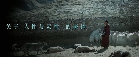 万玛才旦遗作《雪豹》发布导演特辑，用真实影像与世界对话电影创作故事