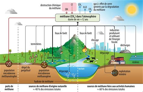 Représentation Schématique Du Cycle De Vie Du Méthane Média