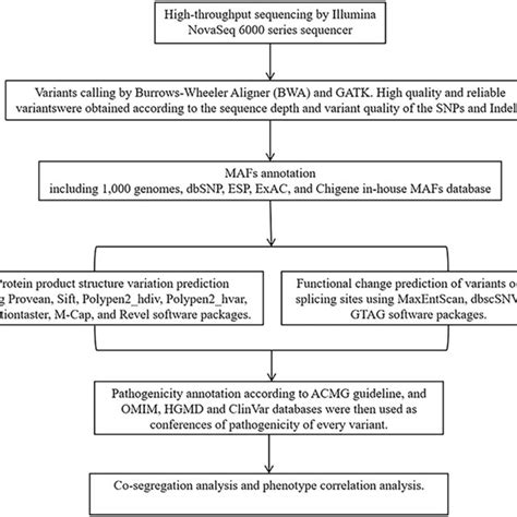 The Filtering And Analysis Strategy And Analysis Process Of Variations