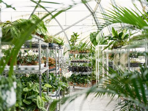 Mačja Hiša Mačja Hiša Added A New Photo